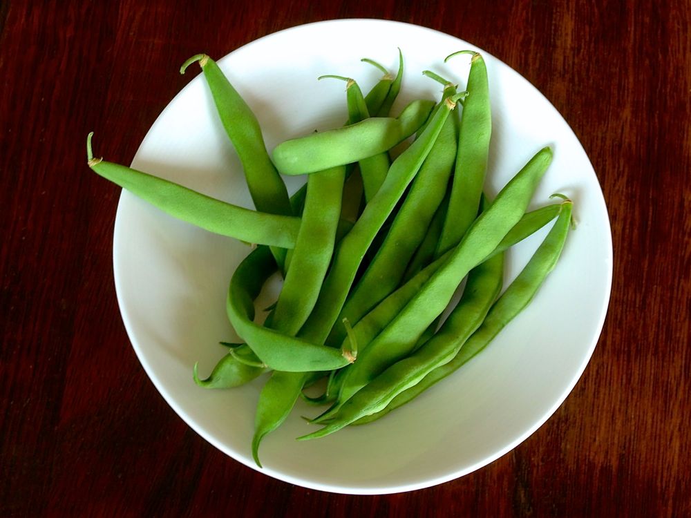 Anasazi Green Beans - Baby Bird's Farm and Cocina