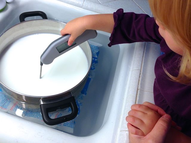 Making Cheese with Kids - Baby Bird's Farm and Cocina