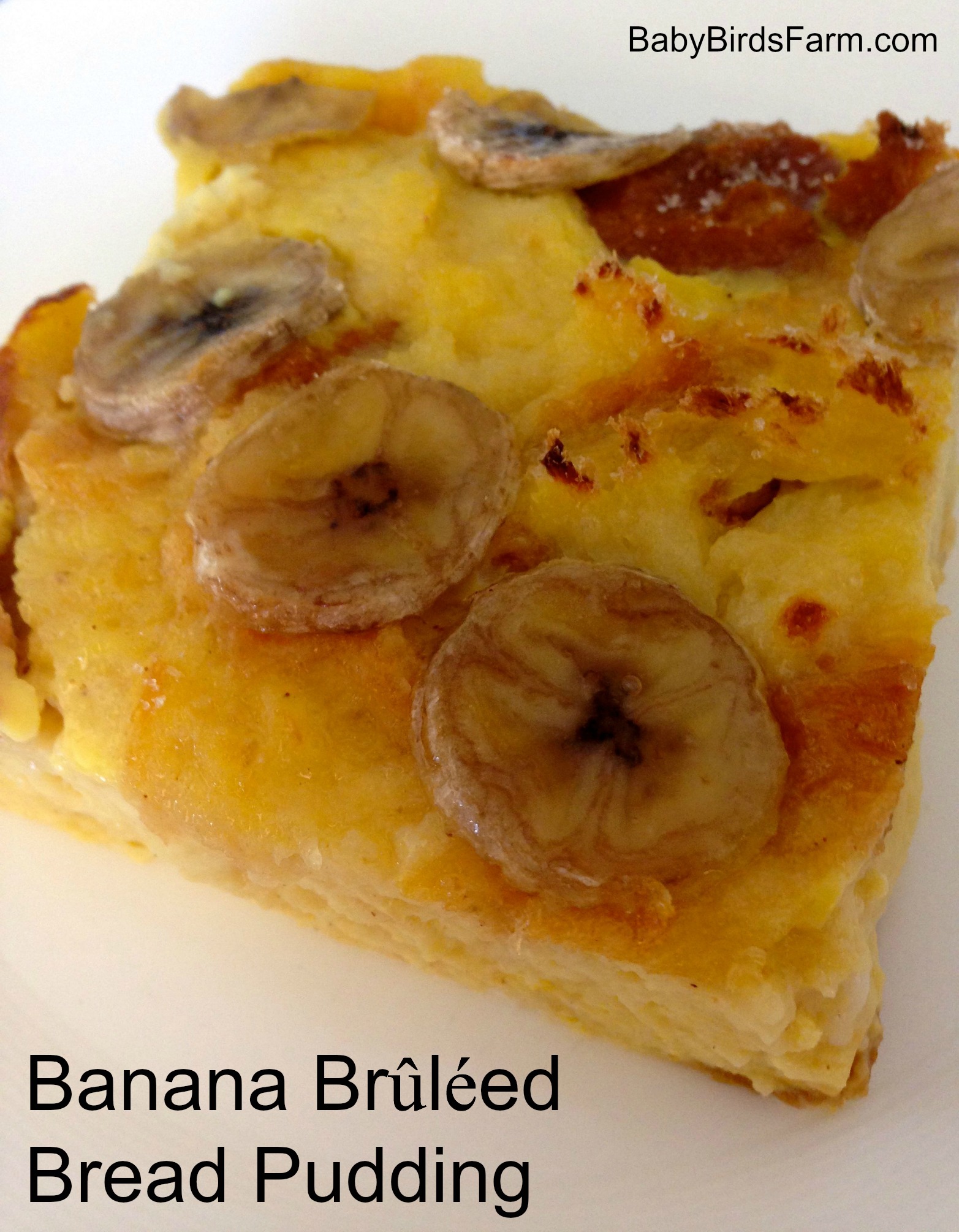 Banana Brûlée Bread Pudding - Baby Bird's Farm and Cocina